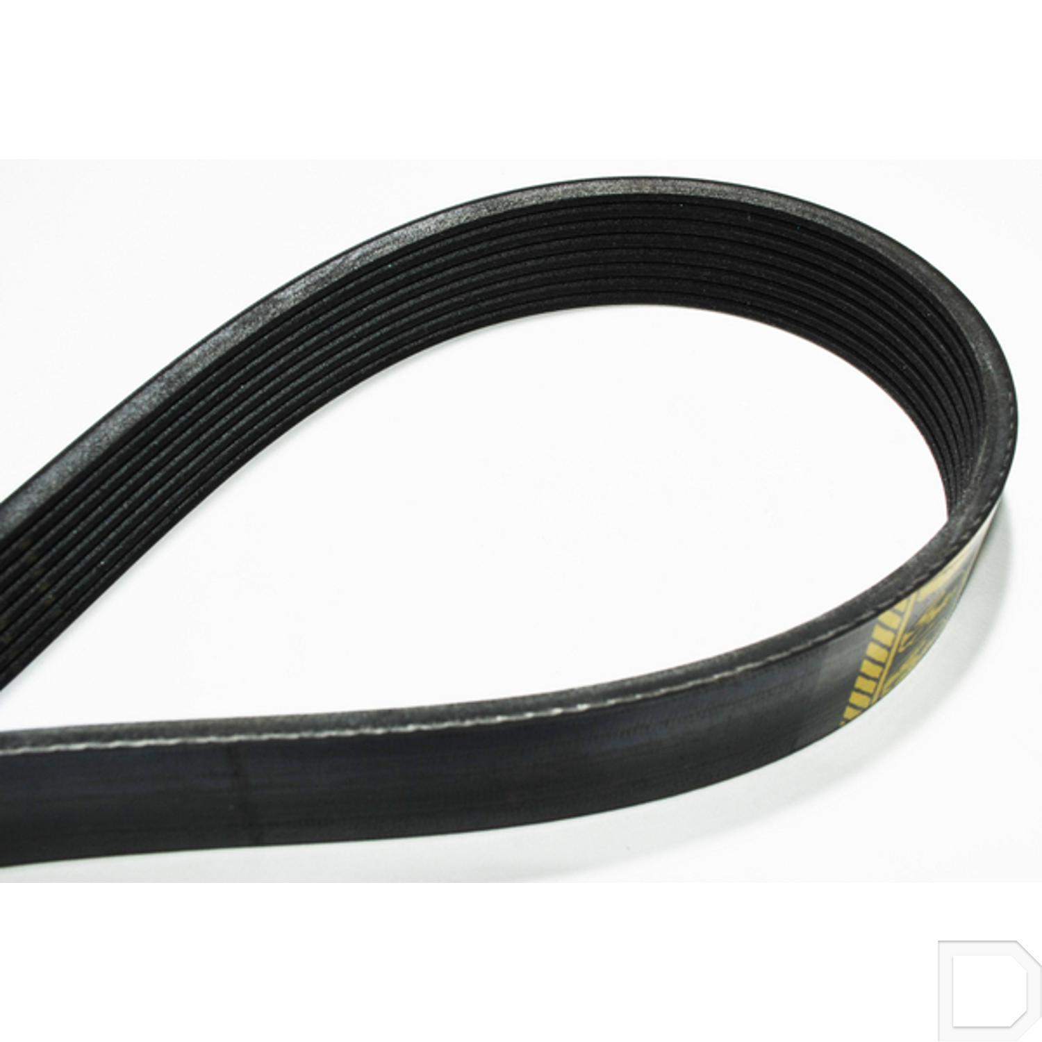 V-snaar - V-snaren Tuin en Park| INDI