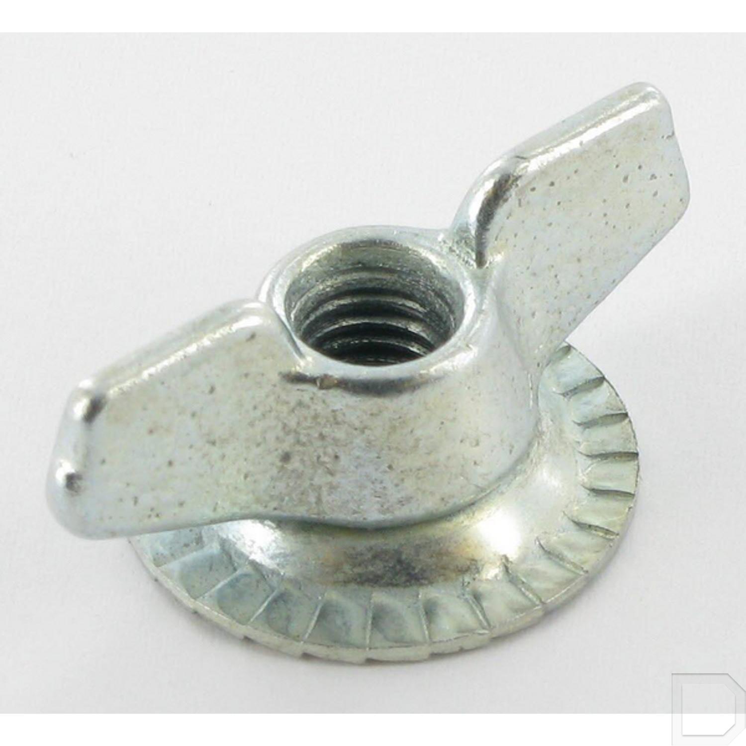 Vleugelmoer - Heggenscharen| INDI