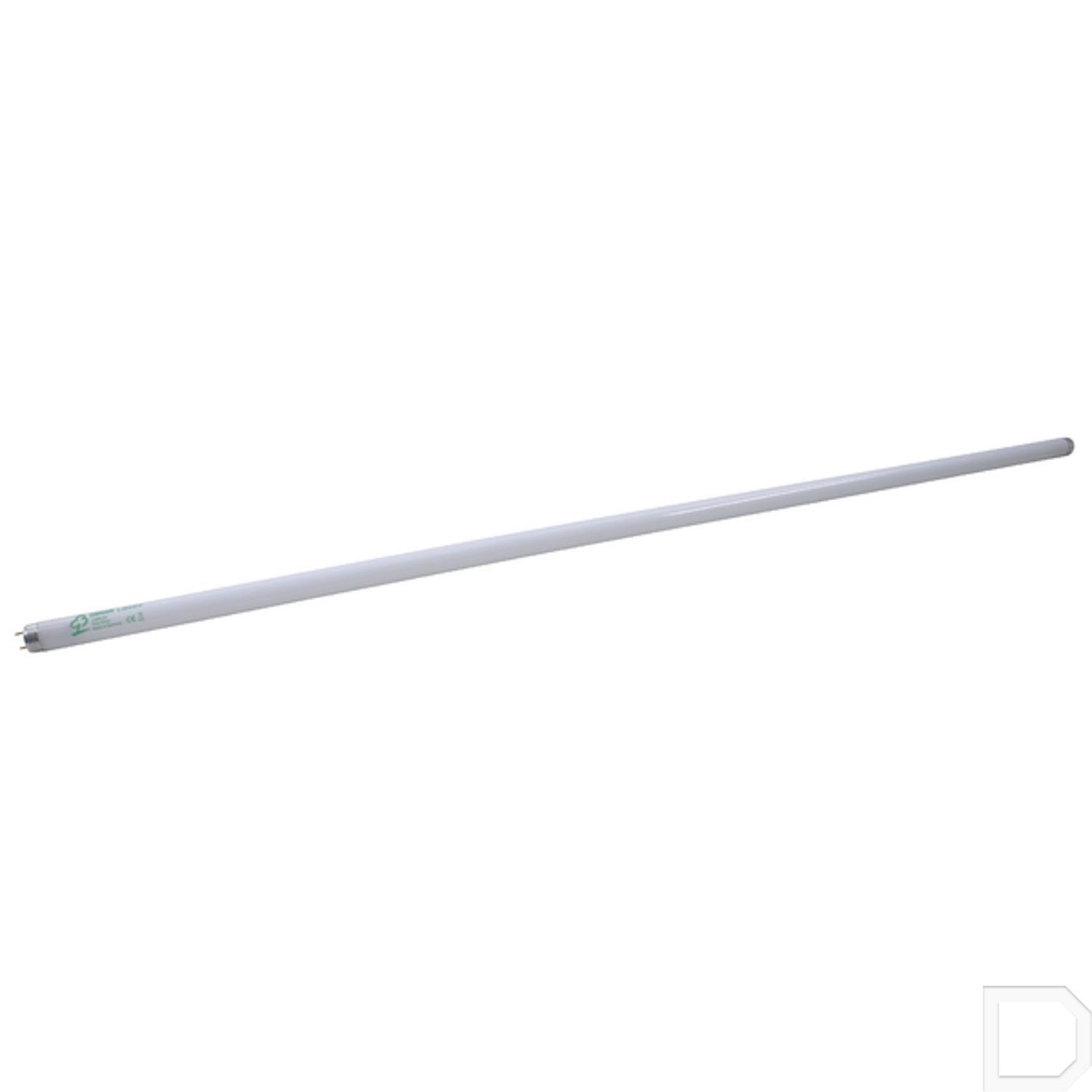 TL-lamp 830 36W l=1200mm G13 - Lampen G13 fitting | INDI